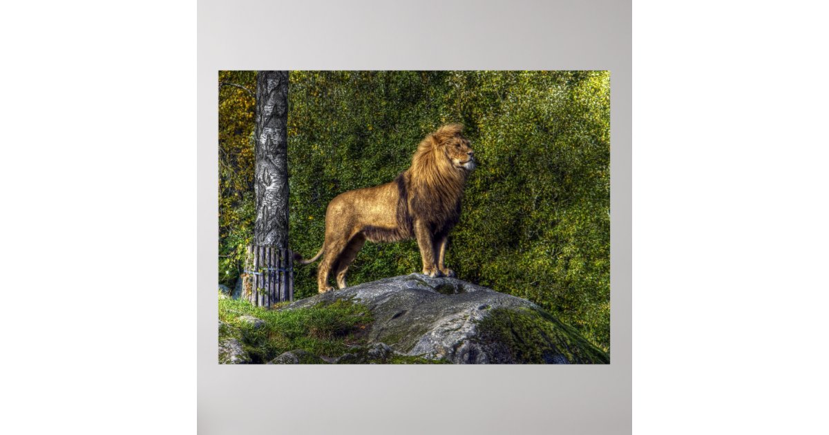 The Lion King Poster | Zazzle