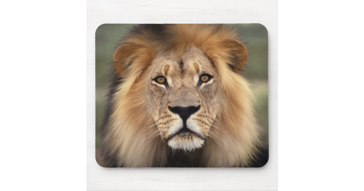 The Lion Mouse Pad | Zazzle