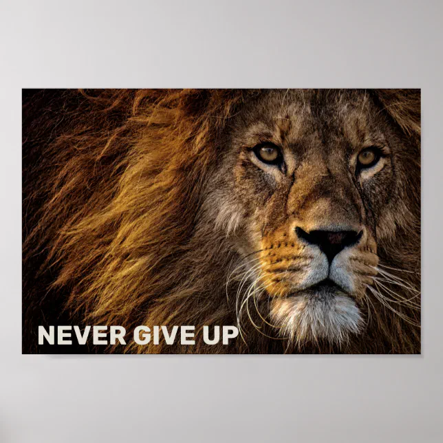 The Lion - Never Give Up Poster | Zazzle