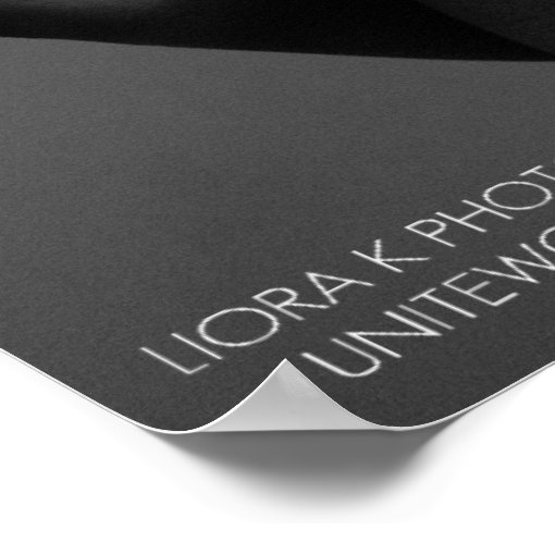 The Liora K Series Poster | Zazzle