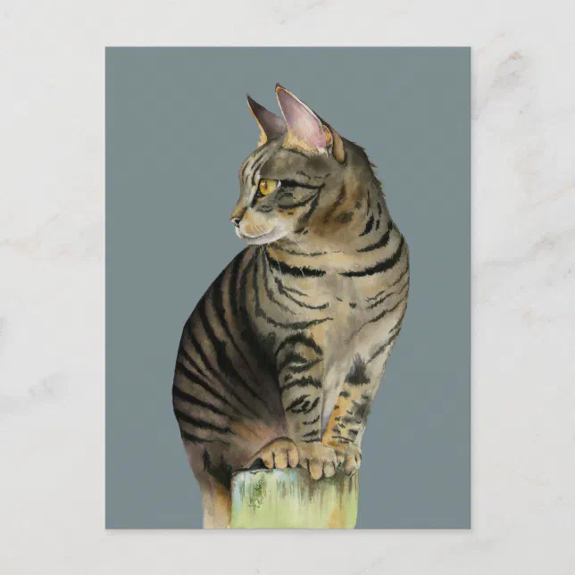 "The Lookout" Tabby Cat on Wood Post Illustration Postcard | Zazzle