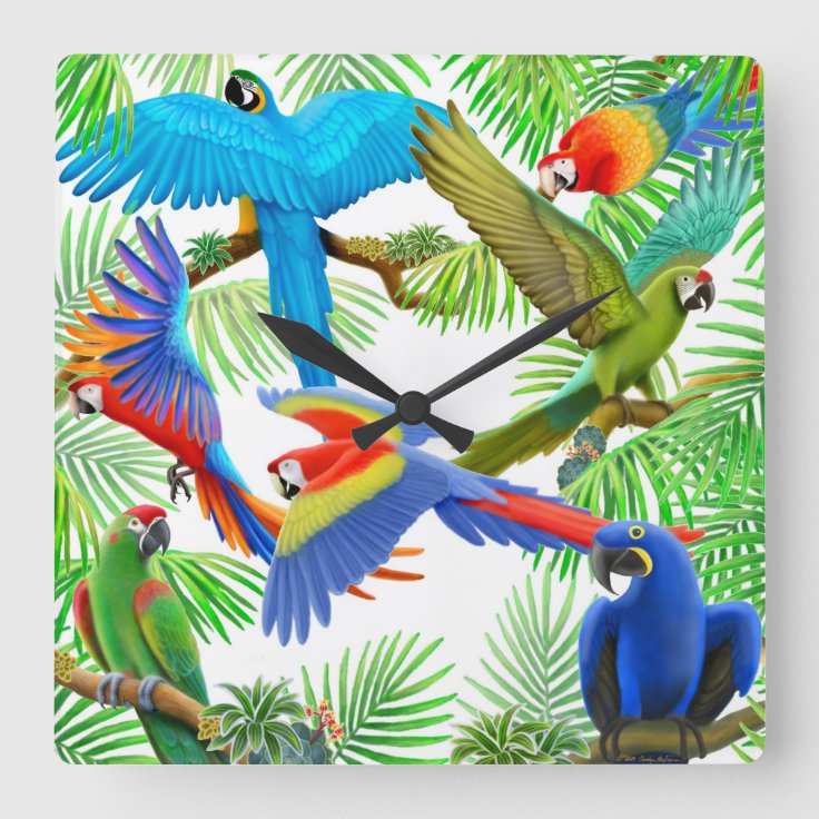 The Macaw Parrot Jungle Wall Clock | Zazzle