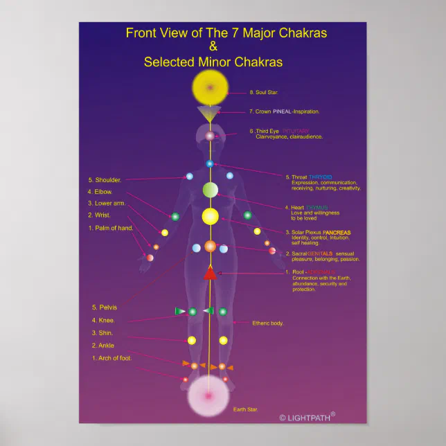 The Major and Minor Chakras Poster | Zazzle