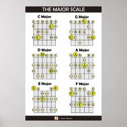 The Major Scale on Guitar Poster | Zazzle