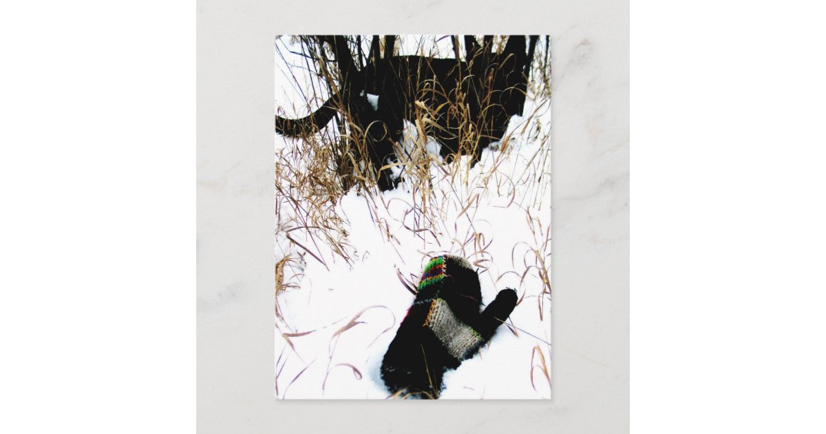 The Mitten Ukrainian Folk Tale Postcard | Zazzle