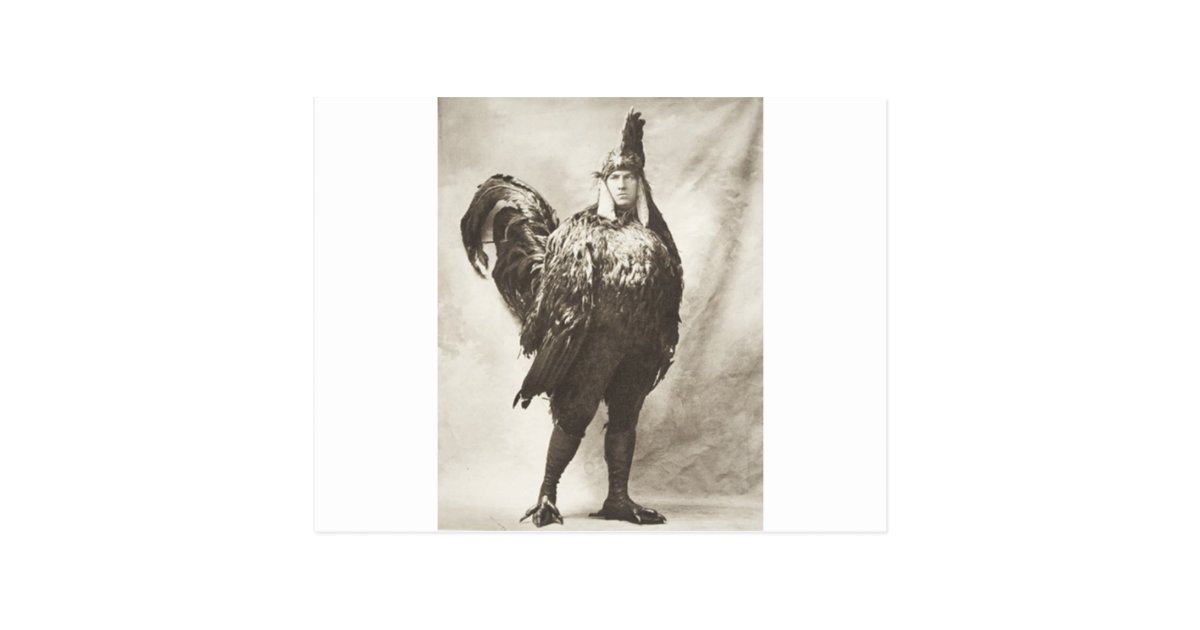 The Most Dignified Chicken Man Of All Postcard | Zazzle.com