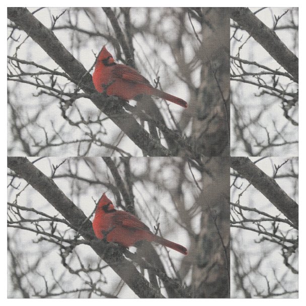 Cardinal Red Bird Couple Fabric | Zazzle.com