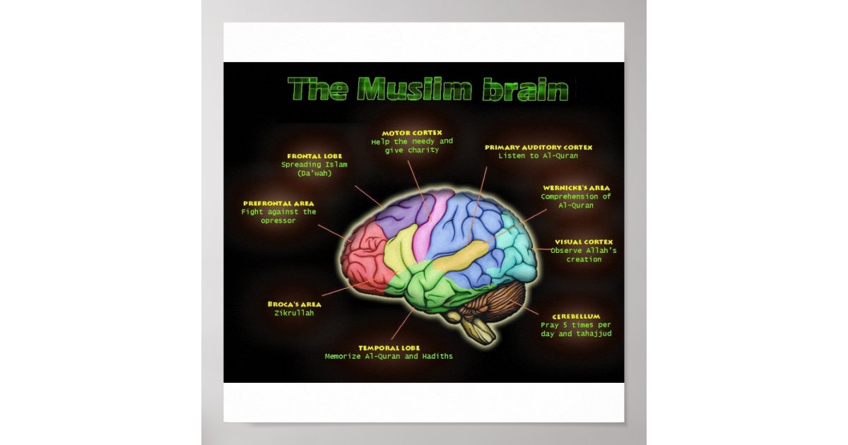 THE MUSLIM BRAIN Poster | Zazzle