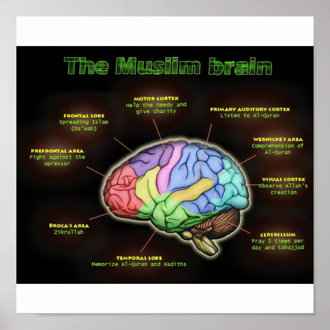 THE MUSLIM BRAIN Poster | Zazzle