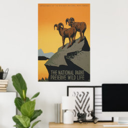 The National Parks Preserve Wild Life Poster | Zazzle