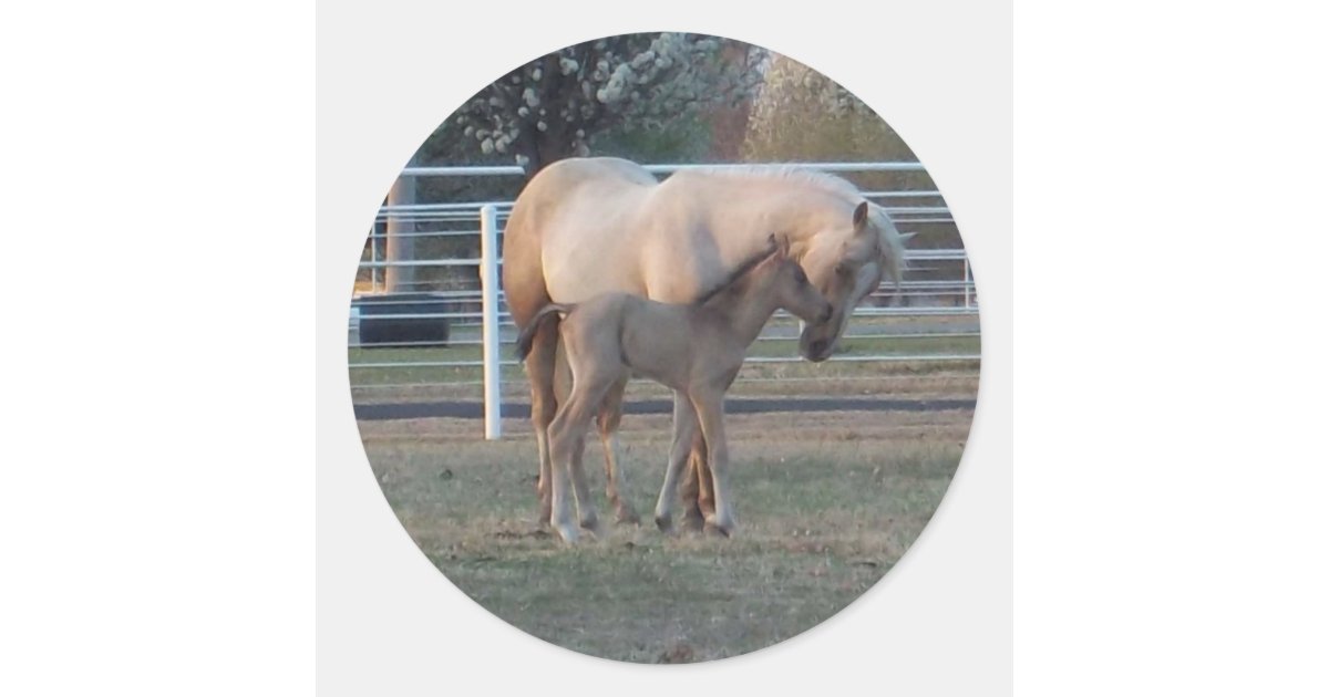 The Newborn Sticker | Zazzle