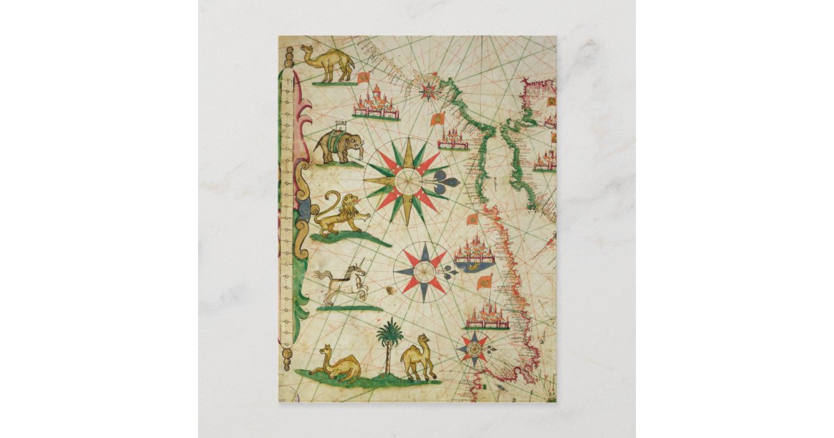 The North African Coast, from a nautical atlas Postcard | Zazzle