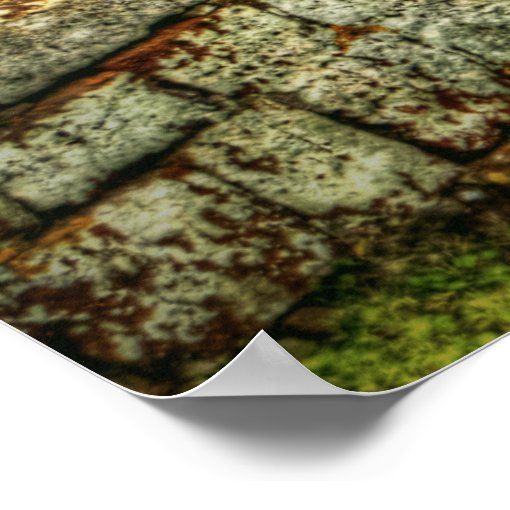 The Old Garden Gate Print (HDR) | Zazzle