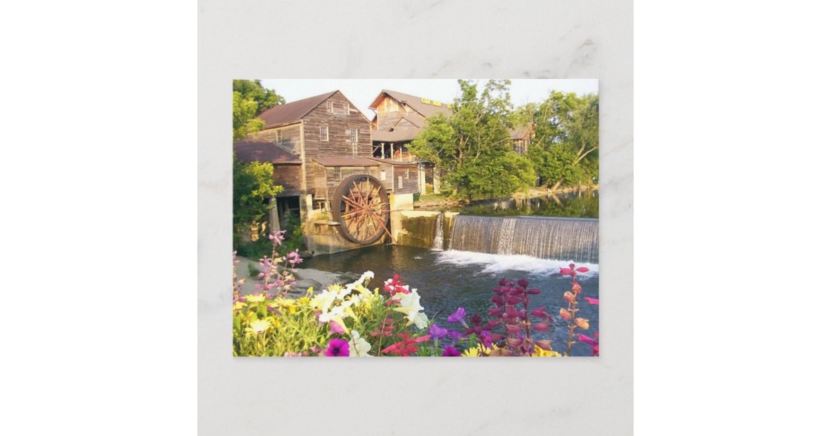 The Old Mill Postcard | Zazzle