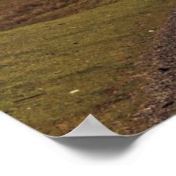 The Open Road Poster | Zazzle