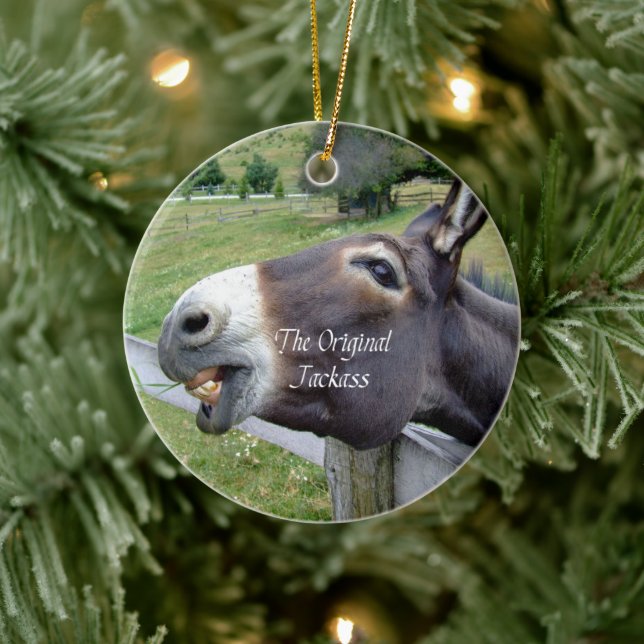 funny donkey gifts
