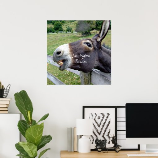 The Original Jackass Funny Donkey Mule Farm Animal Poster | Zazzle