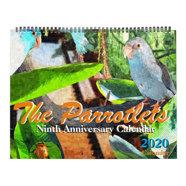 The Parrotlets 2020 Annual Photography Calendar | Zazzle