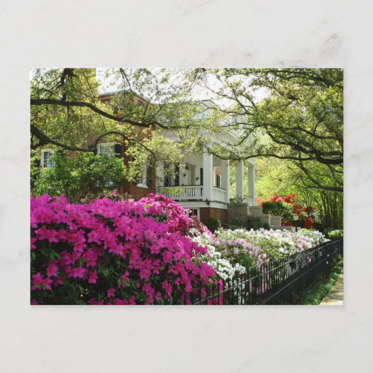 The Parsonage - Spring in Natchez, Mississippi Postcard | Zazzle