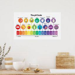 The pH Scale Poster | Zazzle