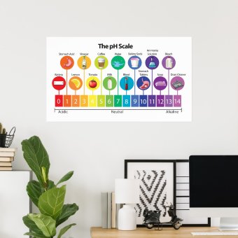 The pH Scale Poster | Zazzle
