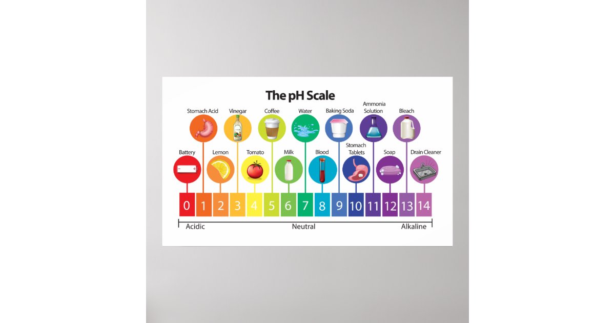 The pH Scale Poster | Zazzle