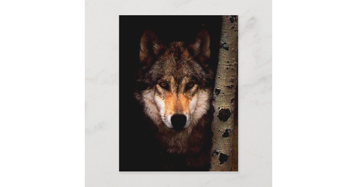 The Phantom Wolf Postcard | Zazzle