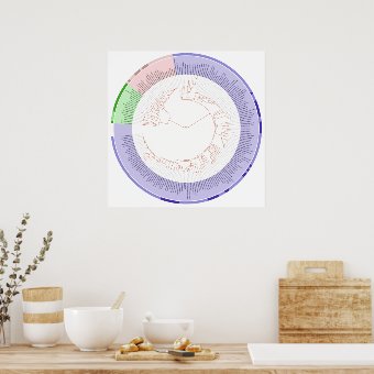 The Phylogenetic Tree of Life Circular Chart | Zazzle
