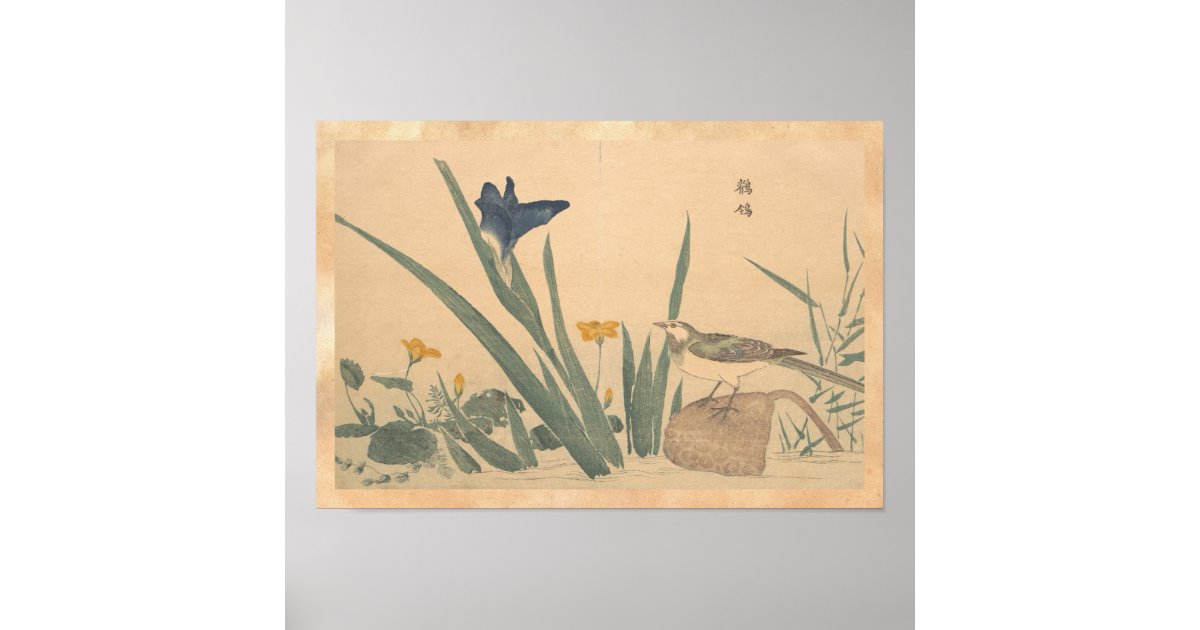 The Pied Wagtai and flower Kuwagata Keisai ukiyo-e Poster | Zazzle