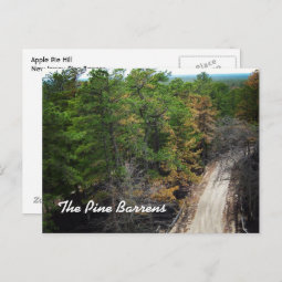 The Pine Barrens Postcard | Zazzle