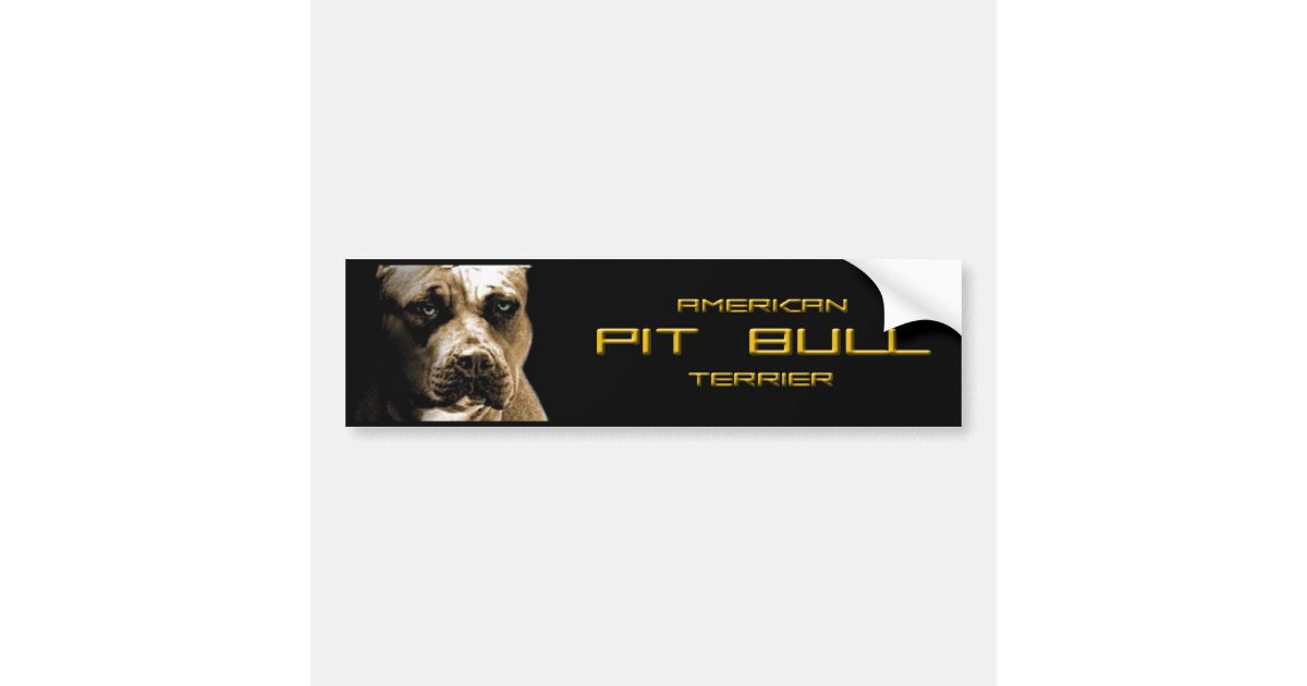 The PITbull Bumper Sticker | Zazzle