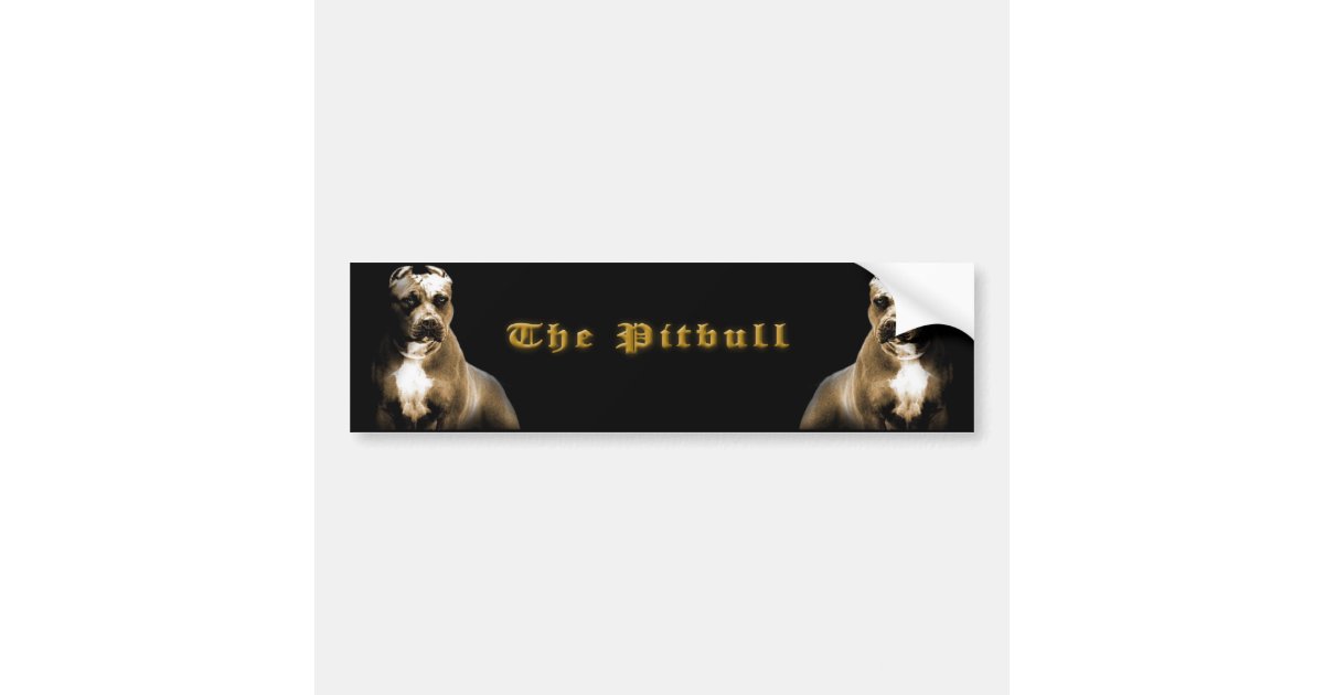 The PITbull Bumper Sticker | Zazzle
