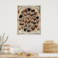 The poultry of the world poster | Zazzle