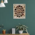 The poultry of the world poster | Zazzle