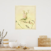 THE PRAYING MANTIS - Insect Book Illustration Poster | Zazzle