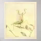 THE PRAYING MANTIS - Insect Book Illustration Poster | Zazzle