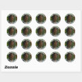 The Princess - Kit Tanthalos Classic Round Sticker | Zazzle