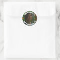 The Princess - Kit Tanthalos Classic Round Sticker | Zazzle