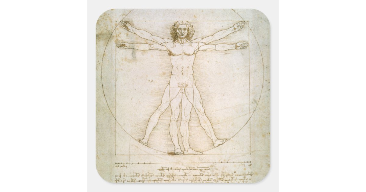 The Proportions of the human figure Square Sticker | Zazzle