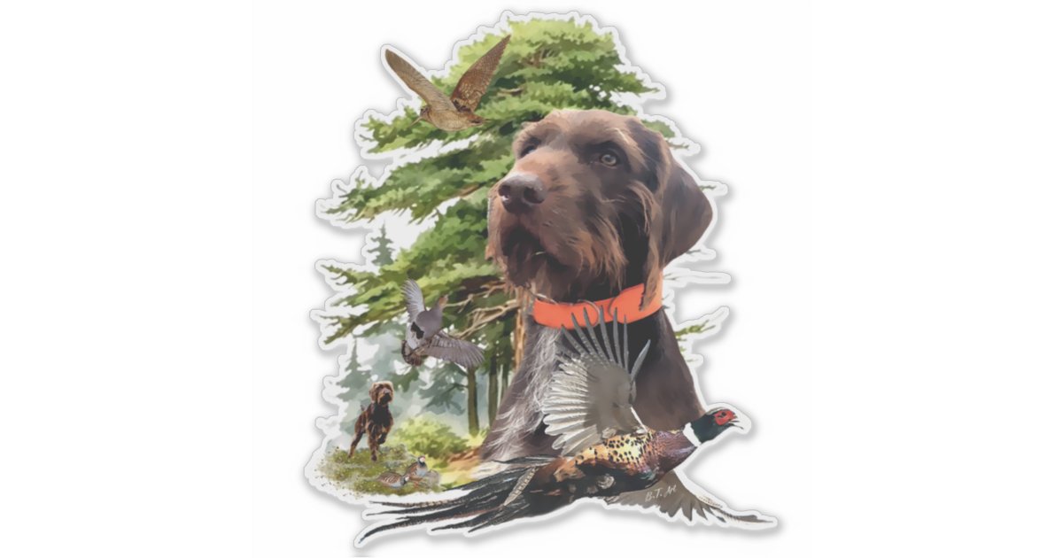 The Pudelpointer Sticker | Zazzle