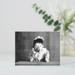 The Queen Bulldog Postcard | Zazzle