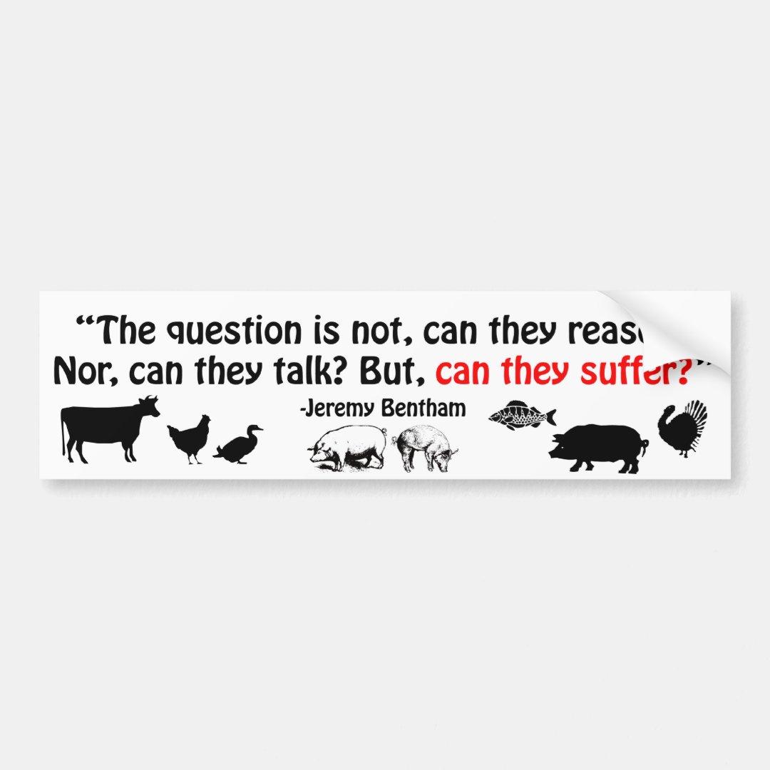 The question is not, can they reason?... bumper sticker | Zazzle