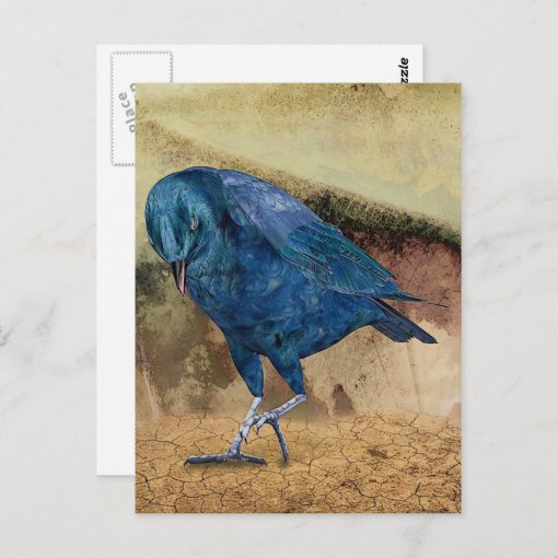The Raven Calls Me! Postcard | Zazzle