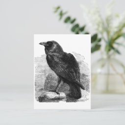 The Raven Postcard | Zazzle