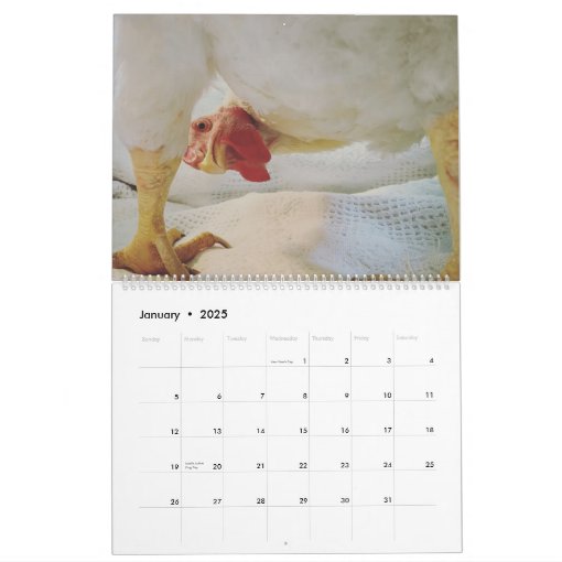 The Real Boo the Roo 2021 large calendar | Zazzle