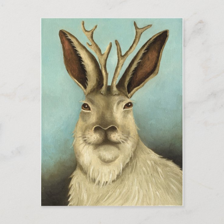 The Real Jackalope Postcard | Zazzle