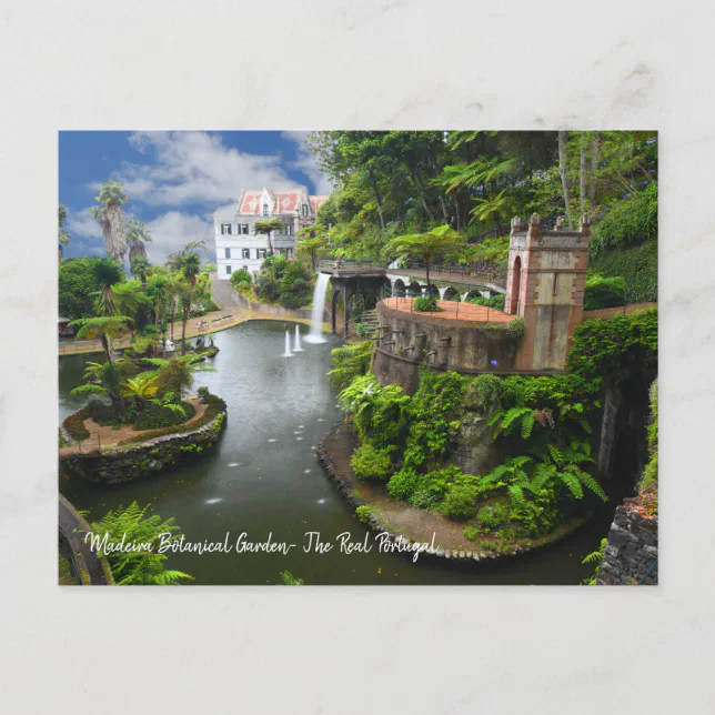 The Real Portugal- Madeira Botanical Garden Postcard | Zazzle