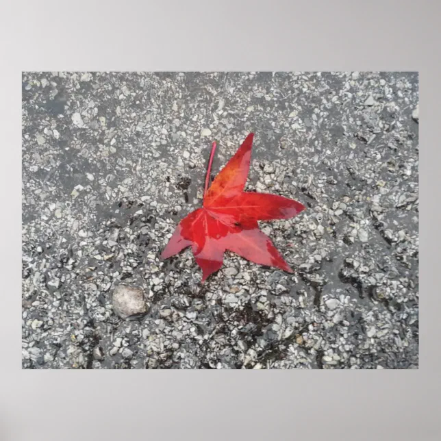 The red leaf office zoom background'- poster | Zazzle