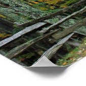 The Road Less Traveled Poster | Zazzle