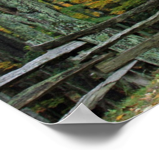 The Road Less Traveled Poster | Zazzle